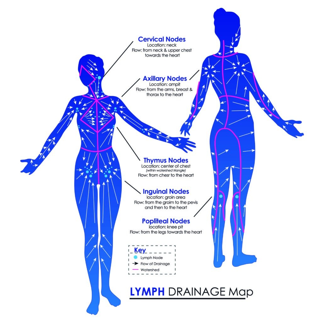 Ladies Full Body Javanese Lymphatic Massage + 15 Mins Gua Sha/ Hot ...